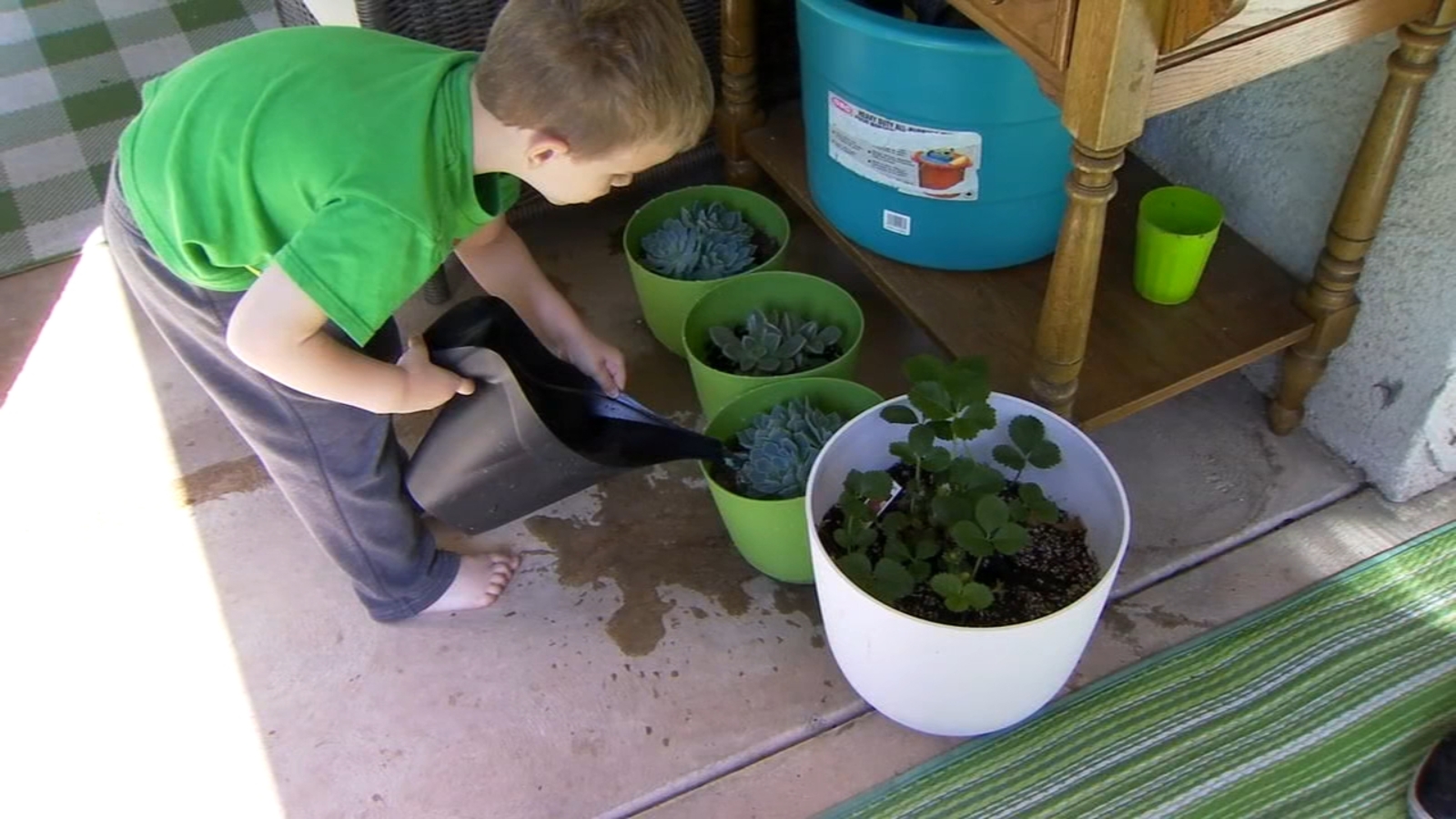 Busy Kid app motivates kids to do chores and earn money - ABC30 Fresno