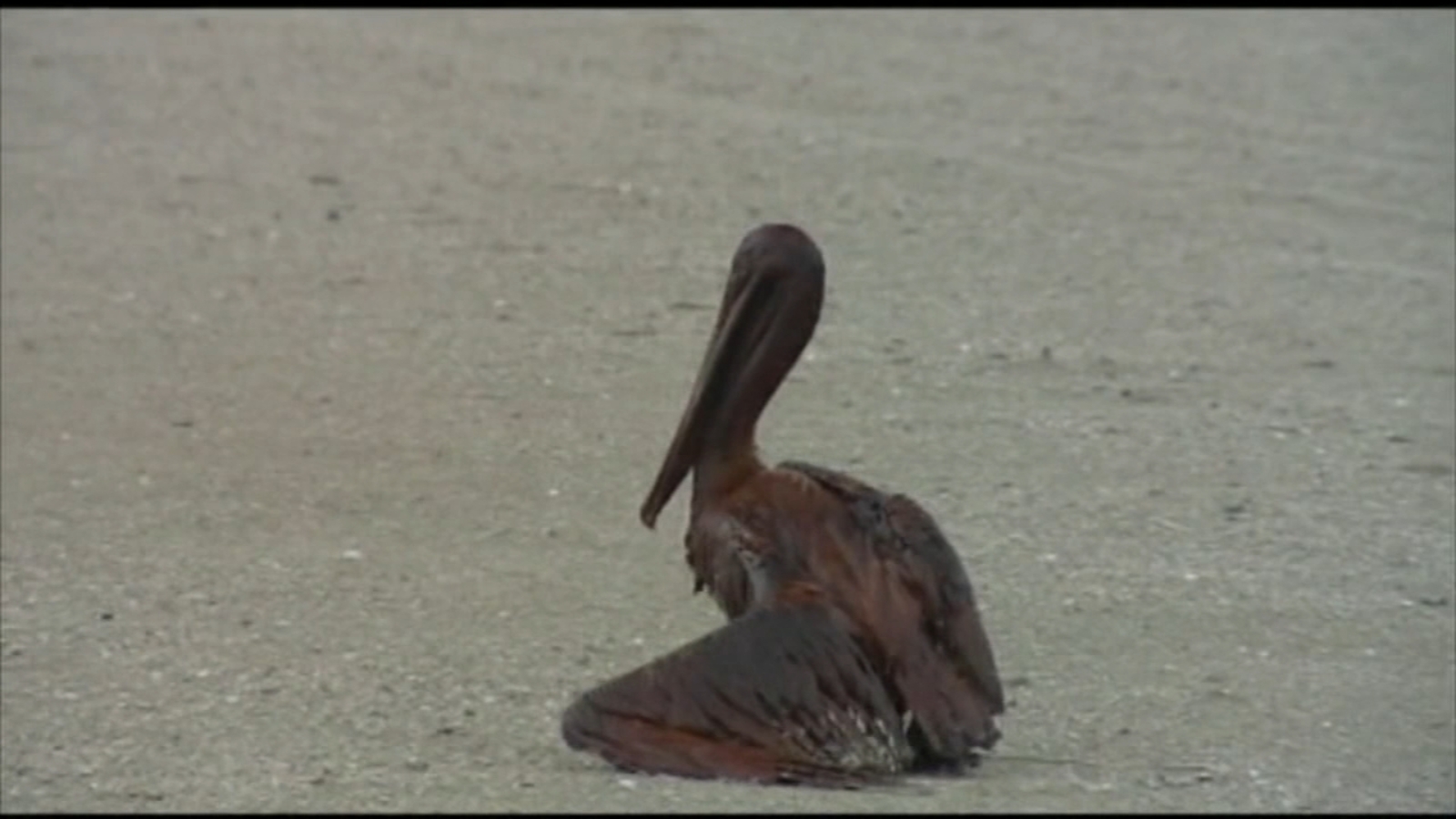 Oil rig companies drill deeper in Gulf of Mexico 10 years after deadly ...