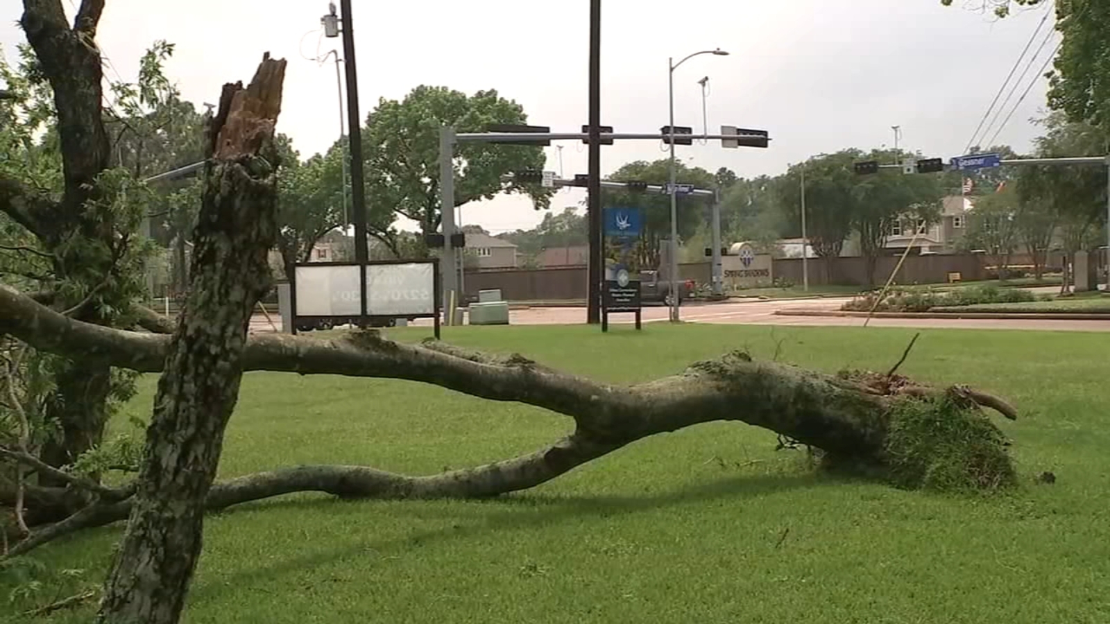 Severe storms topple trees, and damage yard goods across northwest ...