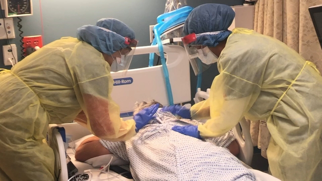 Stacey Sager | ABC7 WABC News Team - ABC7 New York