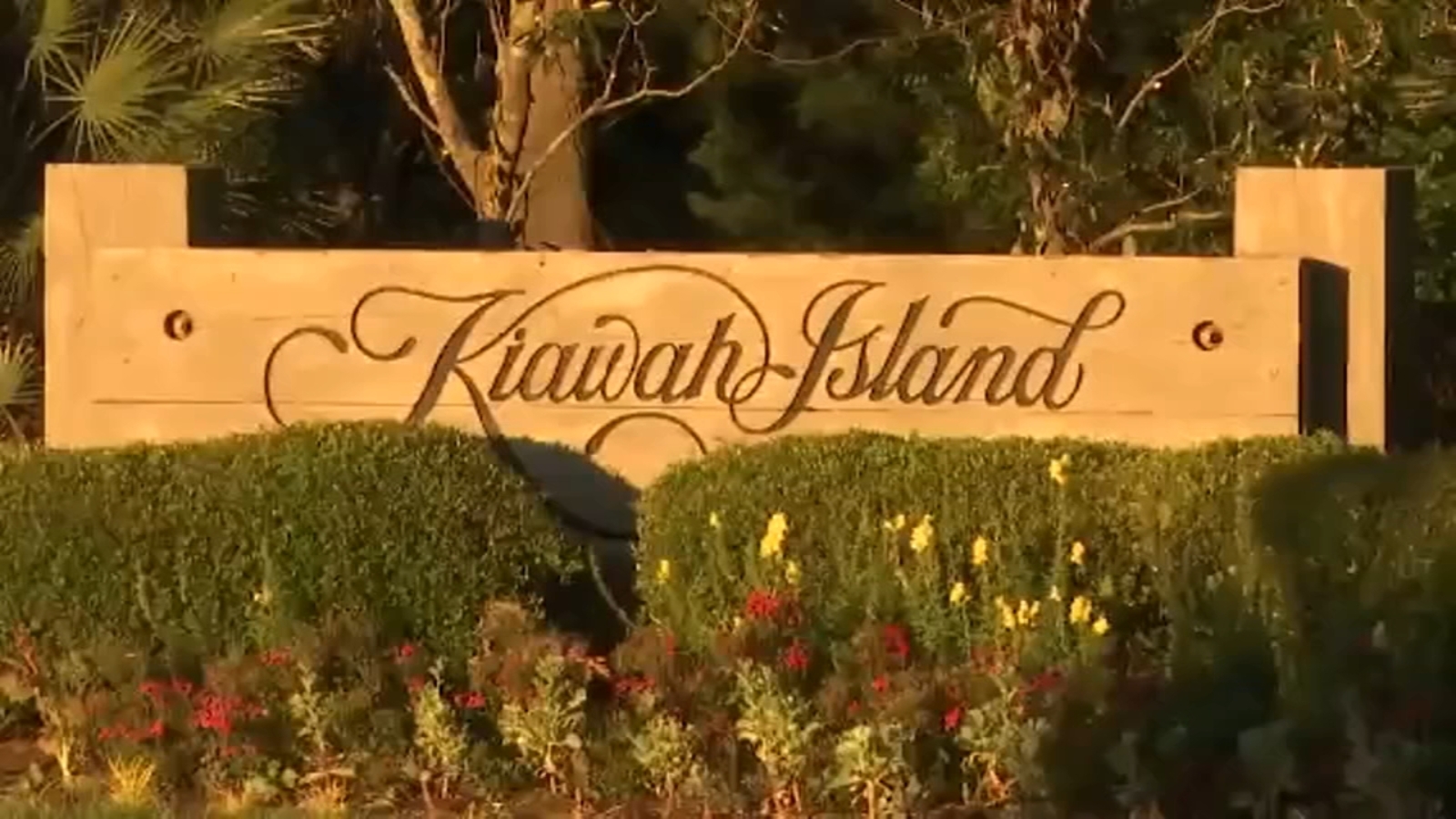 Woman killed in 'alligator encounter' in South Carolina - ABC11 Raleigh ...