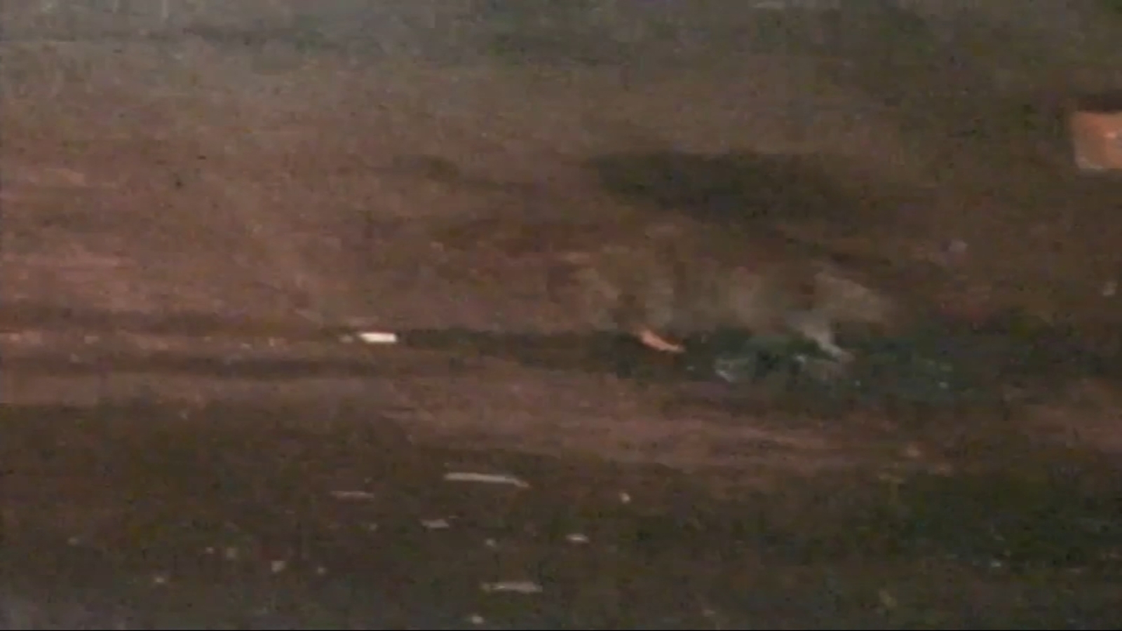 Coronavirus rats: Chicago rodents starved by COVID-19 pandemic invading ...