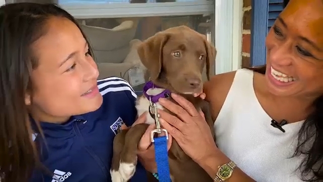 Nina Pineda | ABC7 WABC News Team - ABC7 New York