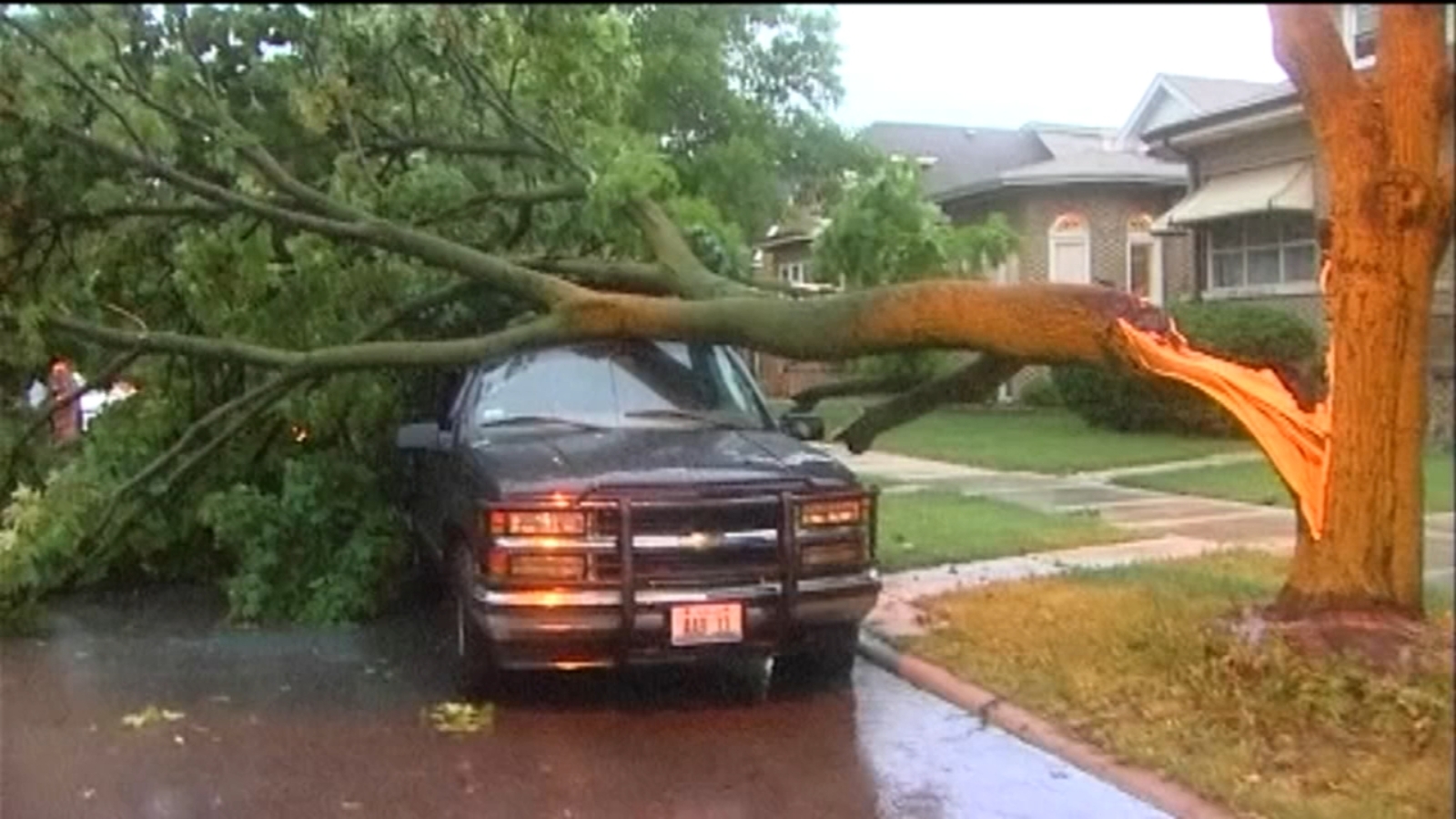 Chicago Weather: Severe storms, toppled trees leave damage in ...