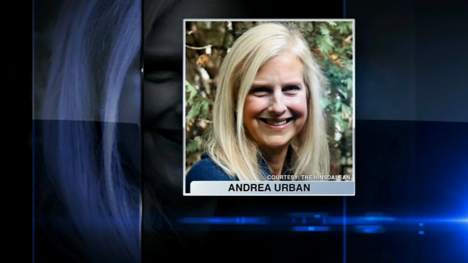 Hinsdale murder: Dominic Sanders sentenced in stabbing of Andrea Urban ...