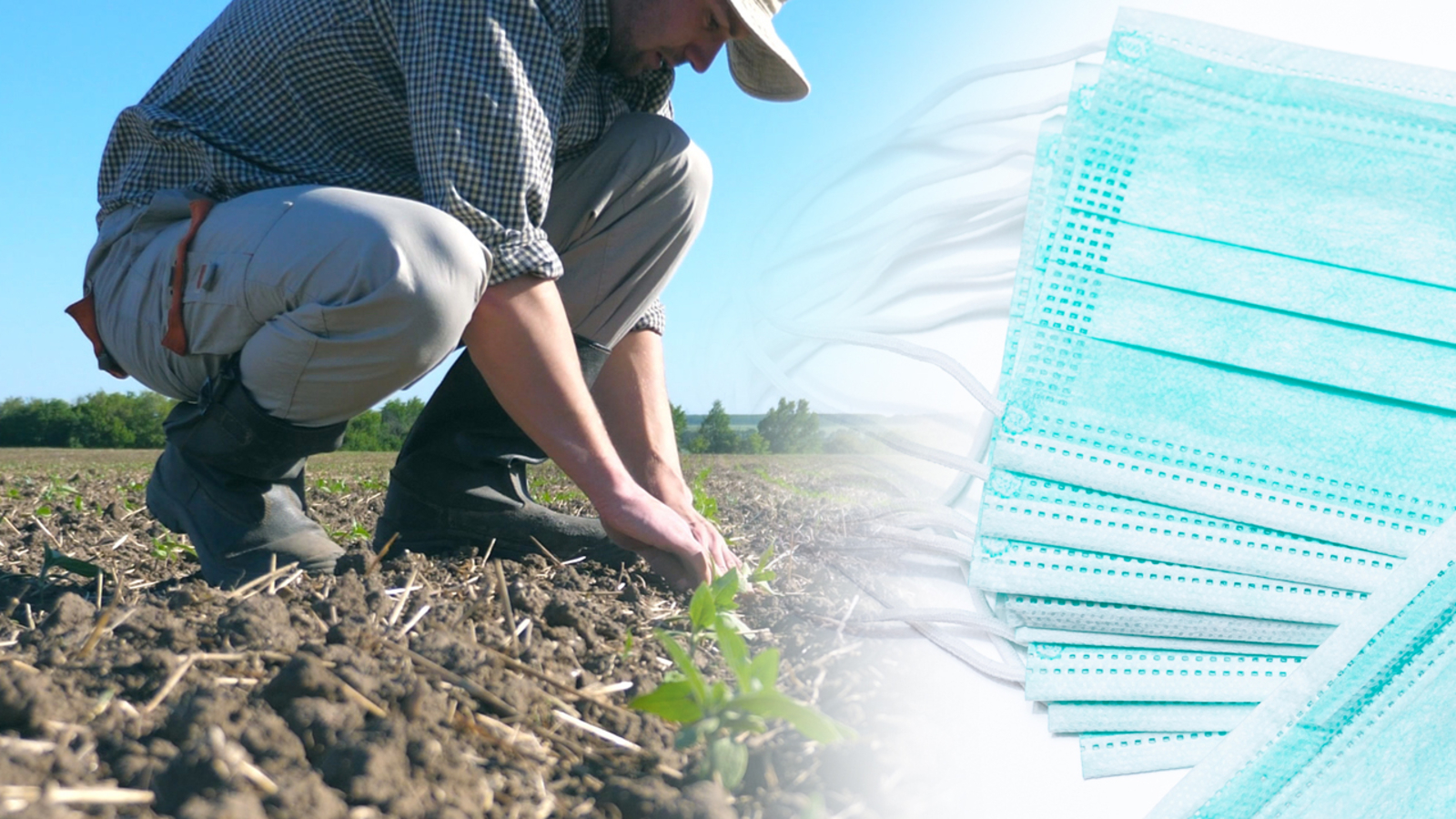 Coronavirus NC: North Carolina manufacturers provide PPE for vulnerable ...