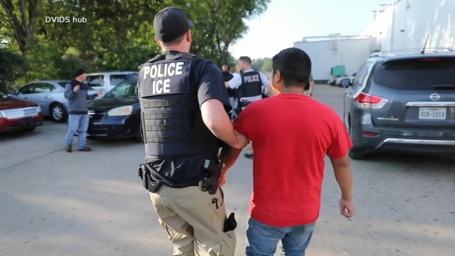 Michelle Gallardo - ABC7 Chicago