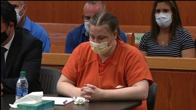 AJ Freund murder: 2 former DCFS employees who oversaw Crystal Lake boy ...