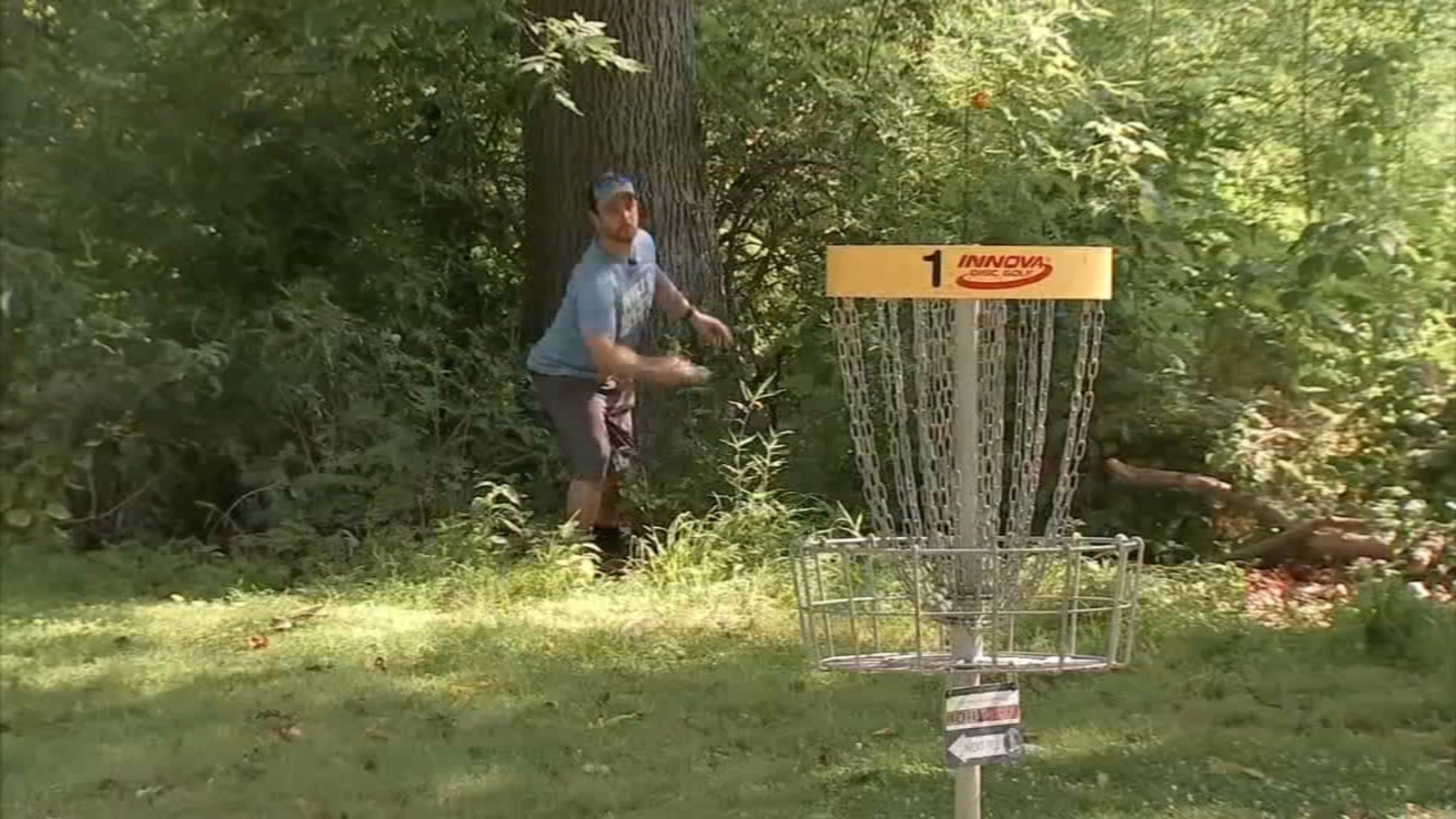Local players give us an inside look at disc golf! - 6abc Philadelphia