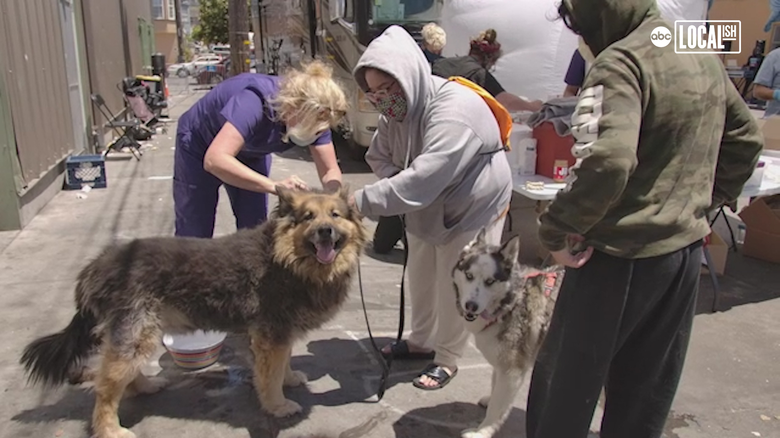 New program helps homeless pets during COVID-19 - ABC7 San Francisco