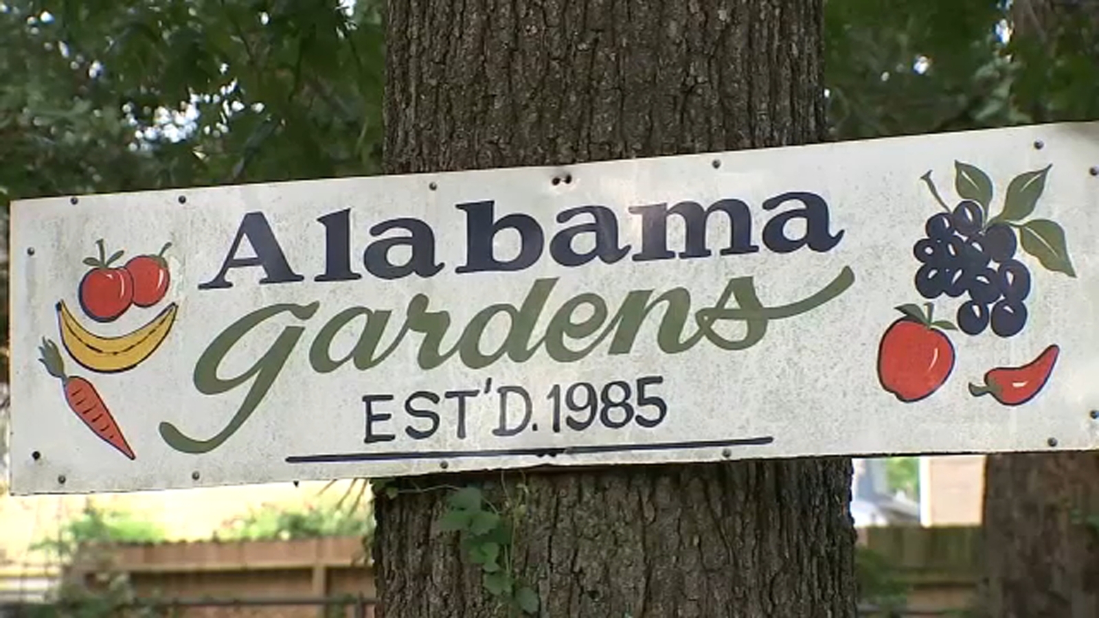 ABC13 Plus Third Ward: Alabama Gardens brings determined gardeners to ...