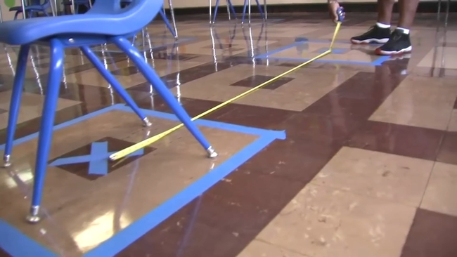 Liz Nagy - ABC7 Chicago