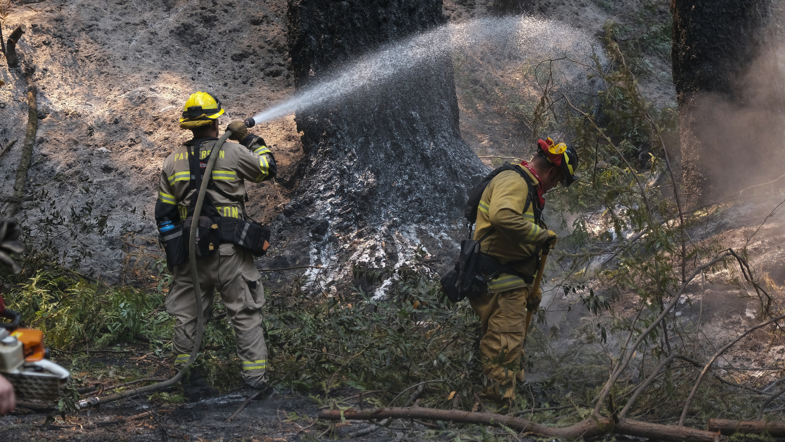 Small victories amid Walbridge Fire fight in Healdsburg; early harvest ...