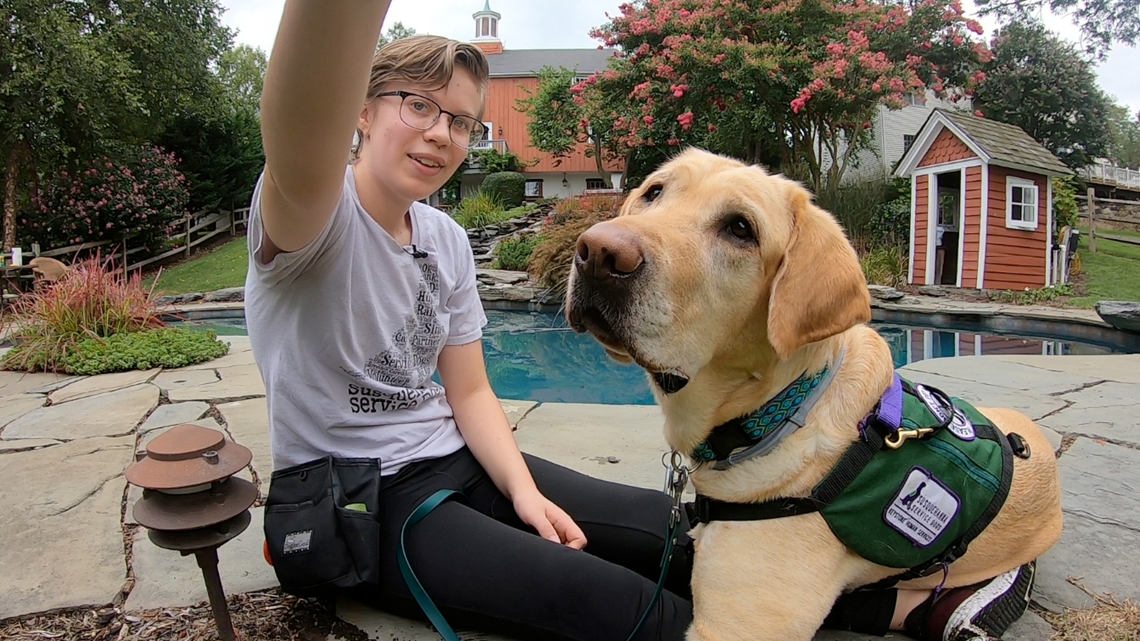Service dog training program seeks volunteers in Philly area - 6abc ...
