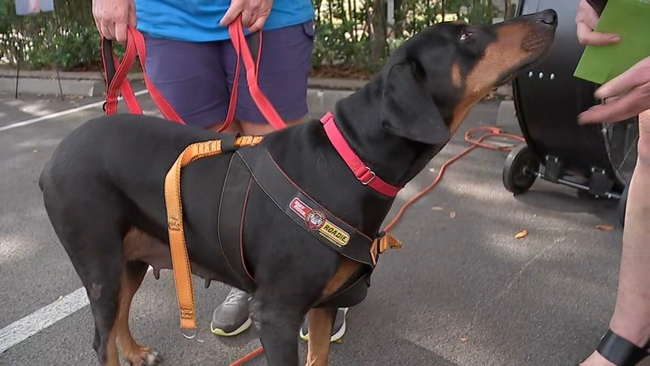 ABC13's Deborah Wrigley leaves KTRK-TV in Houston after 42 years of ...