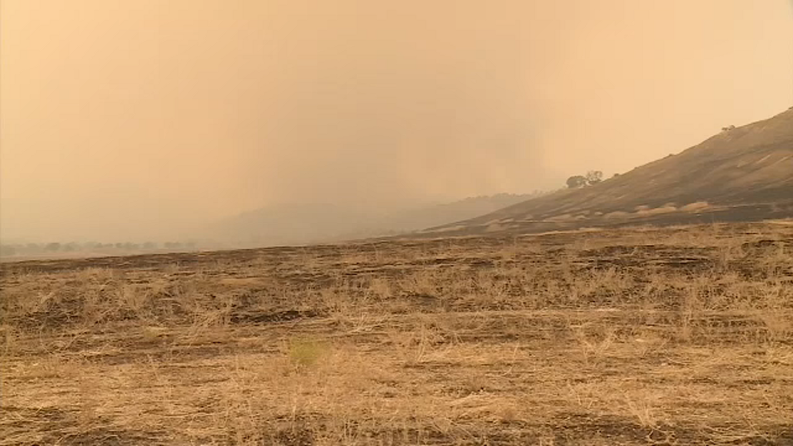 Firefighters injured while battling Dolan Fire off central CA coast ...