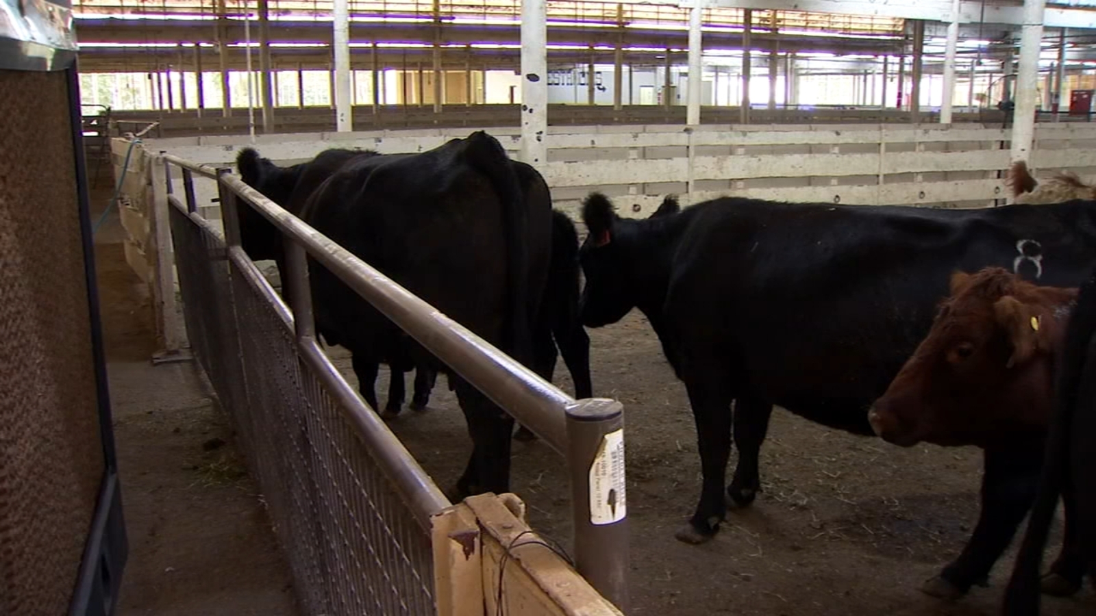 Fresno Fairgrounds opens as an animal evacuation shelter, donations ...