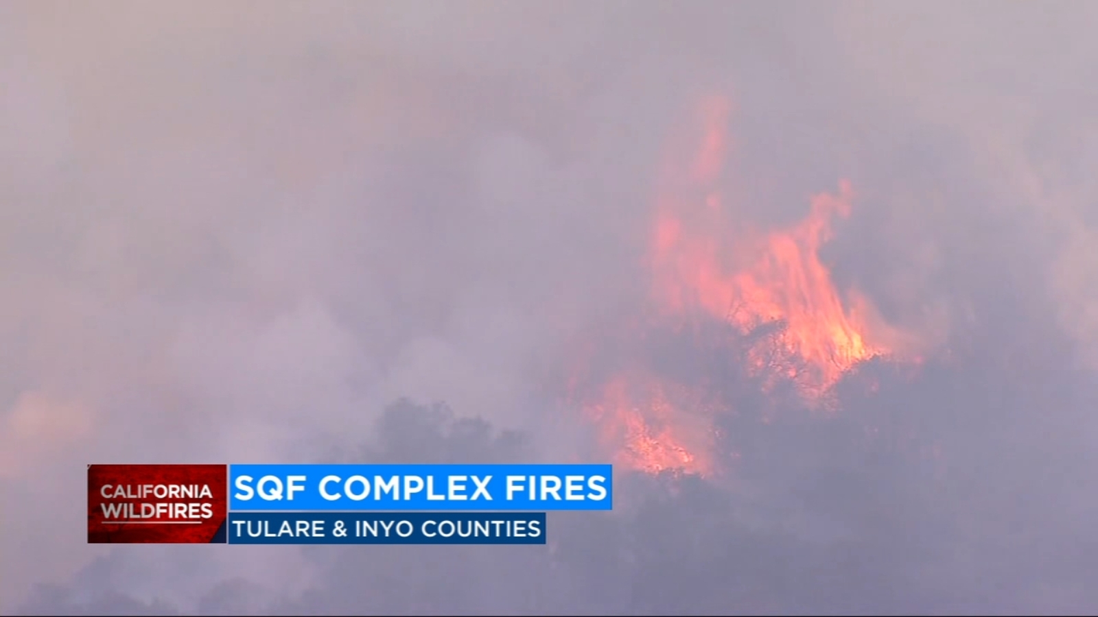 SQF Complex Fire more than 64,000 acres with 12% containment; latest ...
