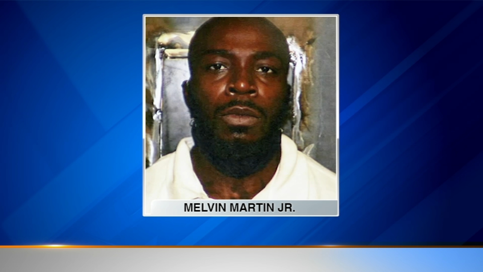 Police say Illinois family discovers woman's dismembered remains in ...