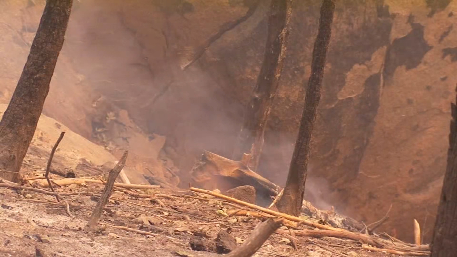 SQF Complex Fire: 133,488 acres burned, 14% contained; latest ...