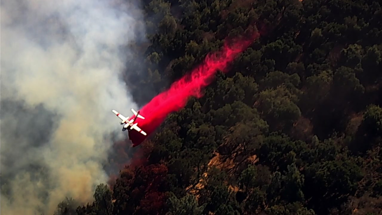 Crews battle 4-acre vegetation fire at Alum Rock Park in San Jose, CAL ...