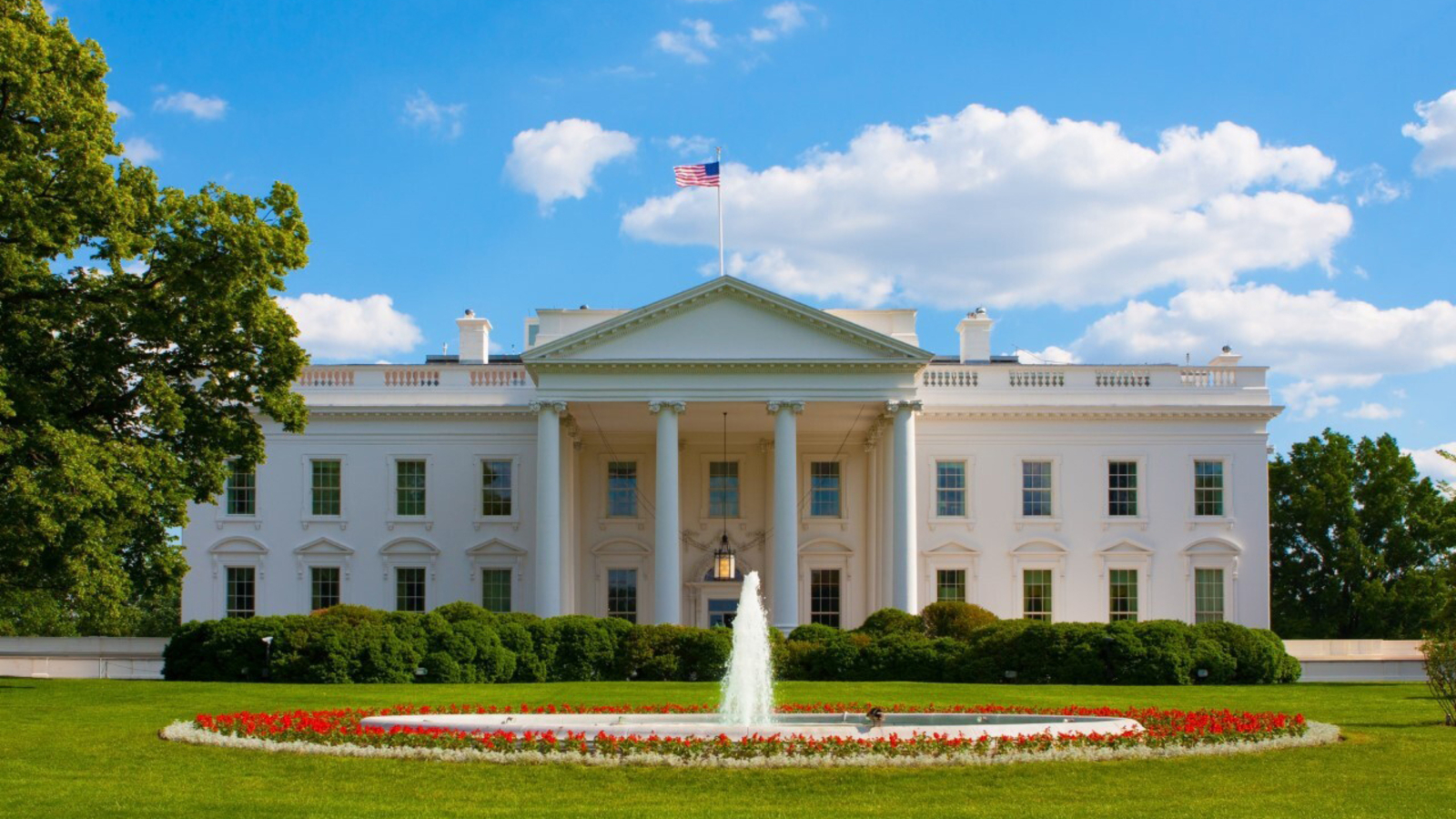 Election 2020: How to become president of the United States - ABC7 Chicago