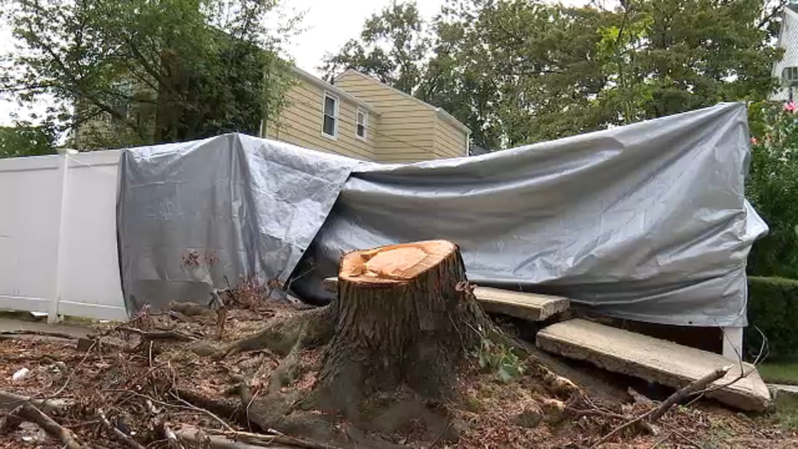 7 On Your Side: Homeowner stumped on how to get rid of uprooted tree on ...
