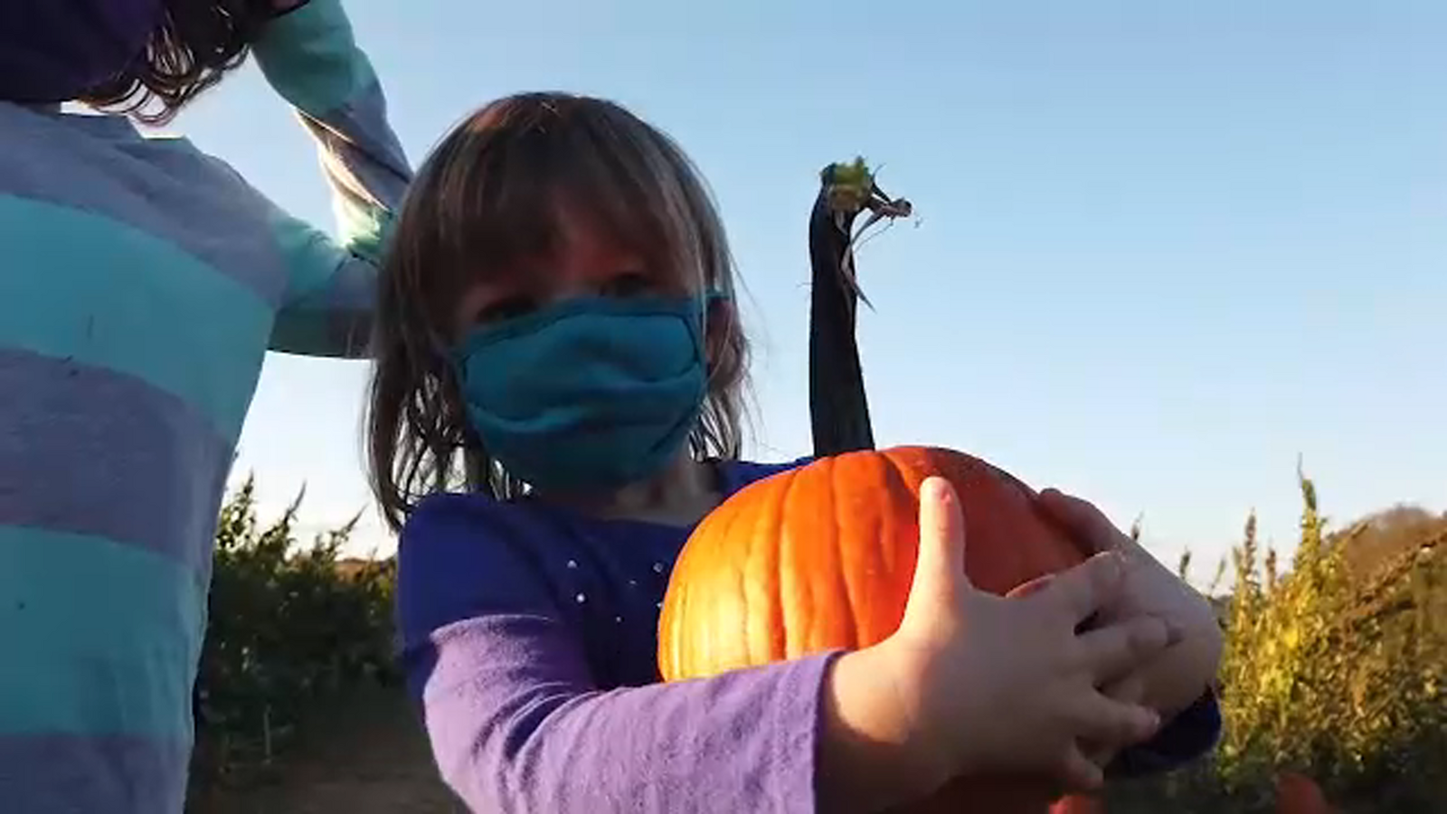 Chester County farm fights to keep fall traditions alive despite COVID ...