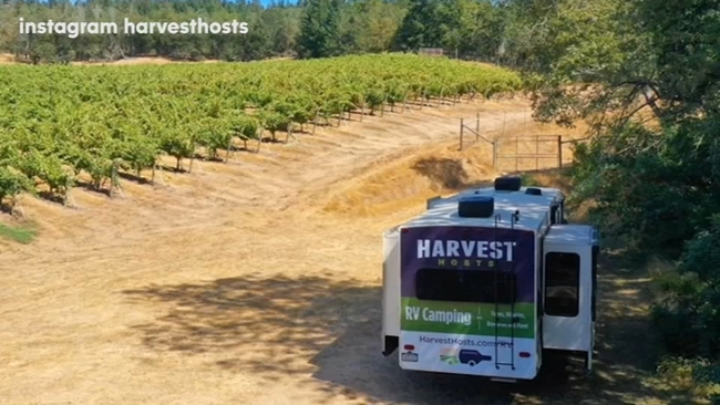 Amber Rupinta - Anchor at ABC11 WTVD - ABC11 Raleigh-Durham