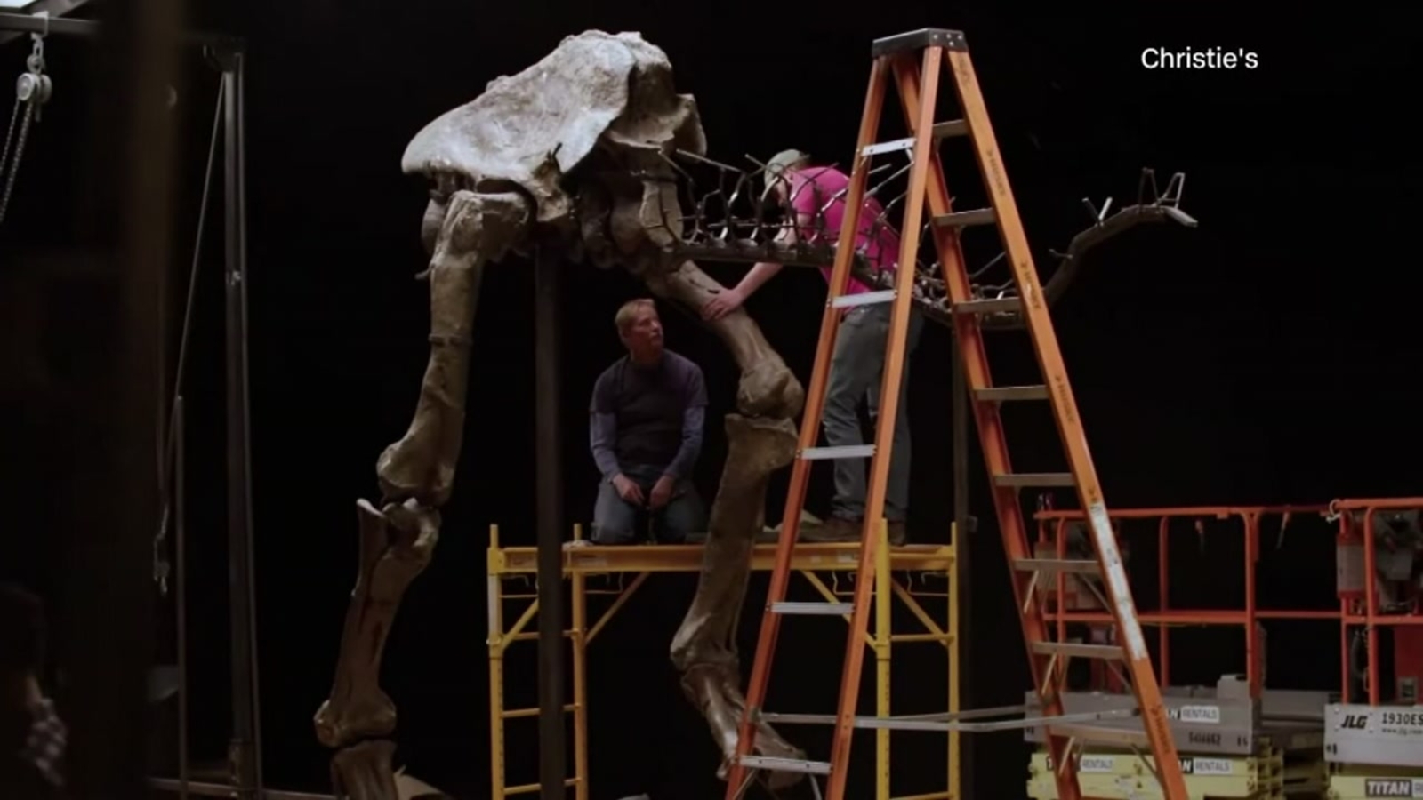 Stan the Tyrannosaurus rex skeleton sells for a whopping $31.8M at ...