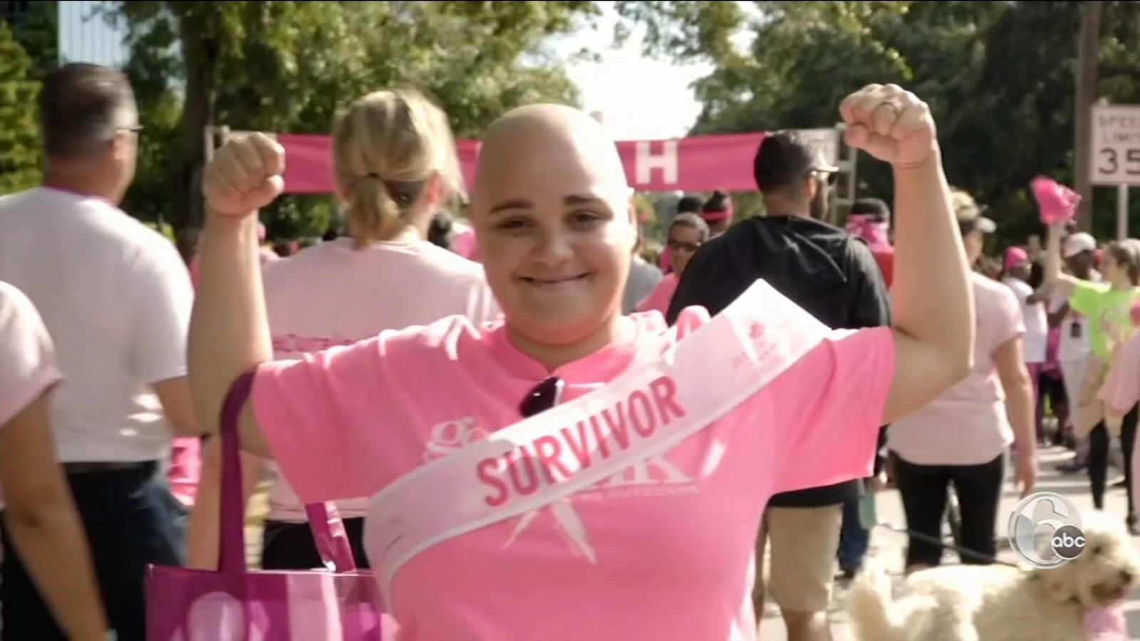 Making Strides goes virtual for Virtually YOUnited Against Breast ...