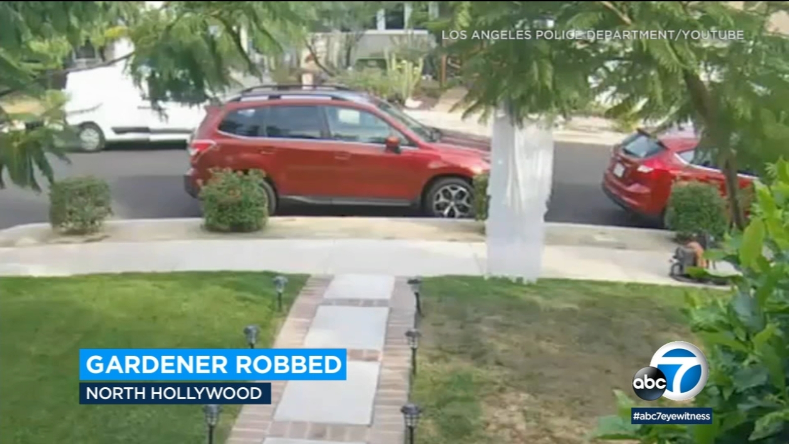 Video captures 2 suspects robbing gardener in broad daylight in North ...