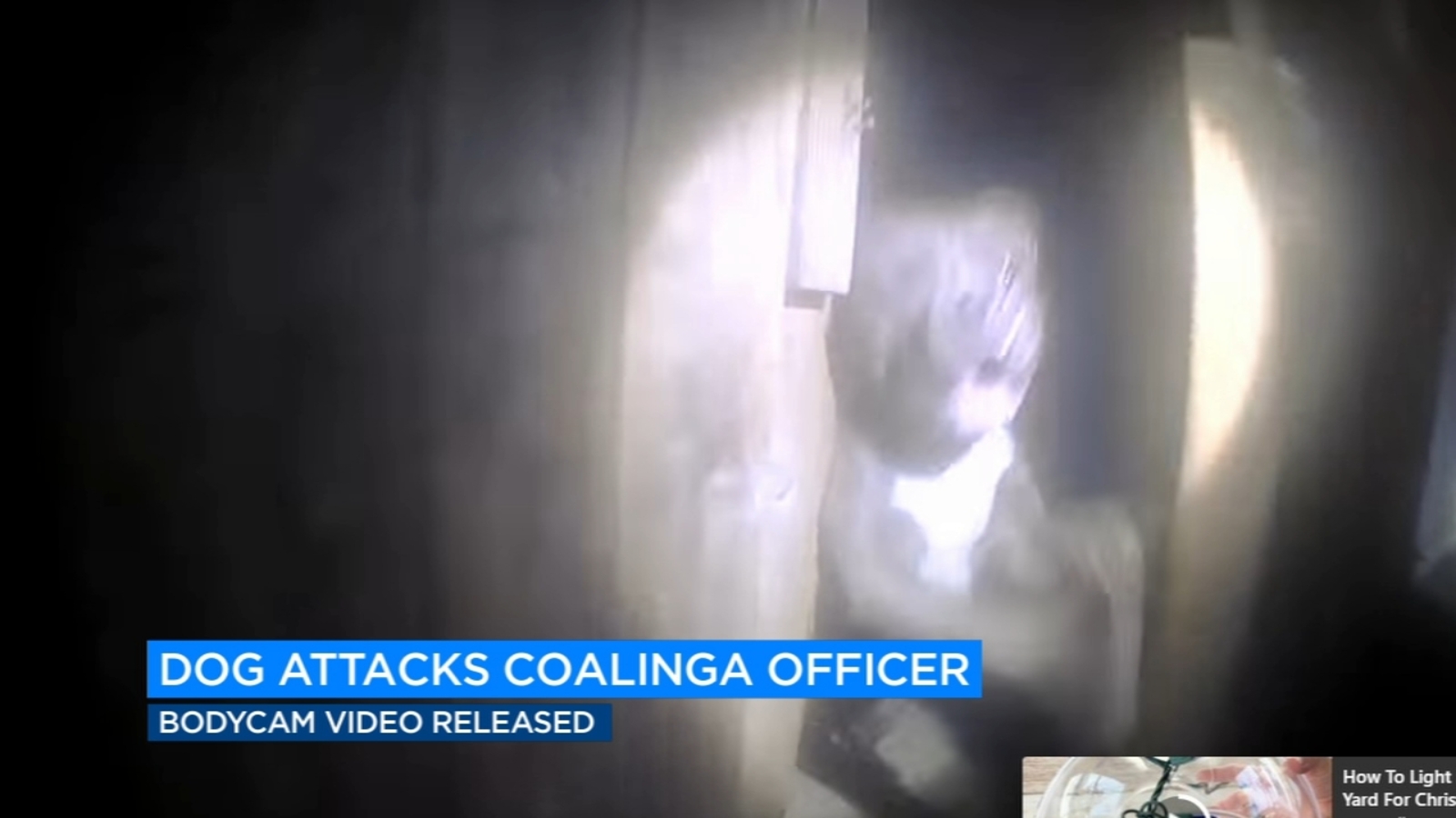 Video shows moments before suspect's dog attacked Coalinga police ...