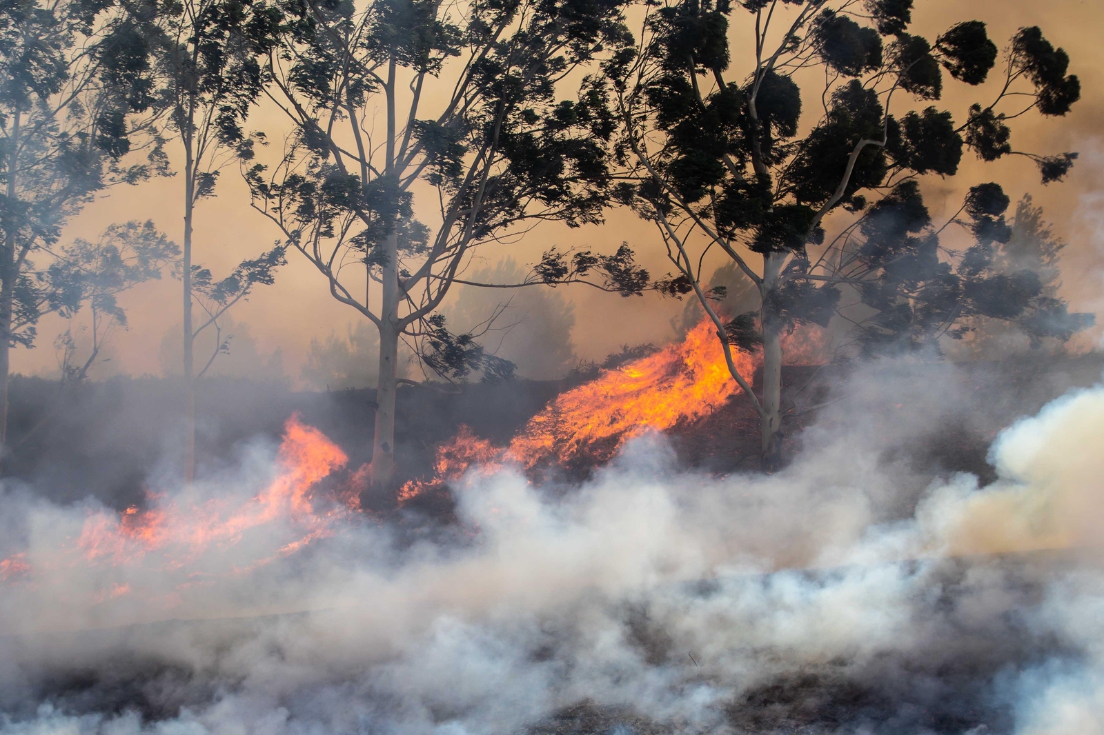 Silverado Fire: Dramatic photos show up-close look at Irvine fire ...
