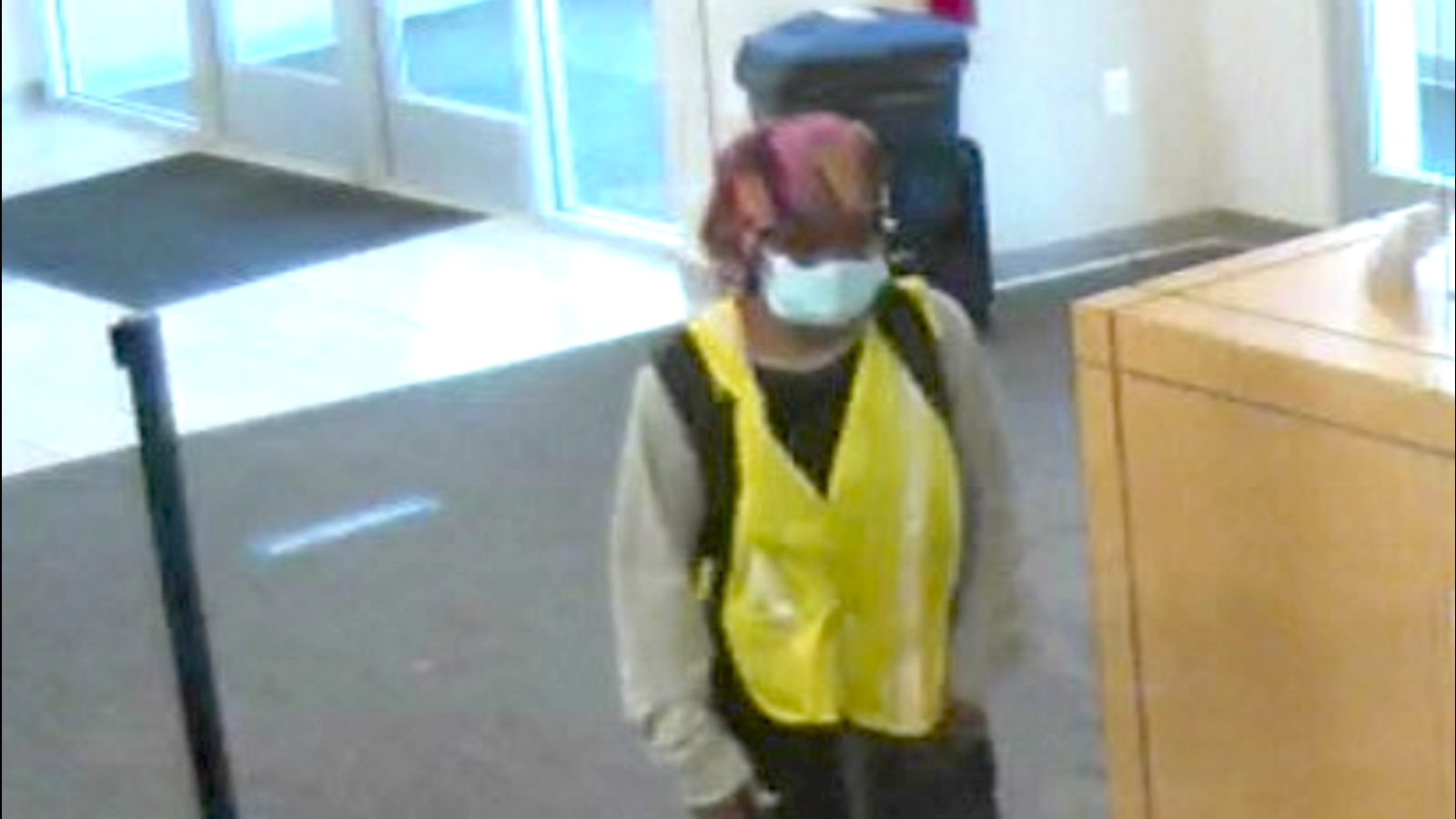 Chicago bank robberies: Lovers from Englewood charged in 6 incidents ...