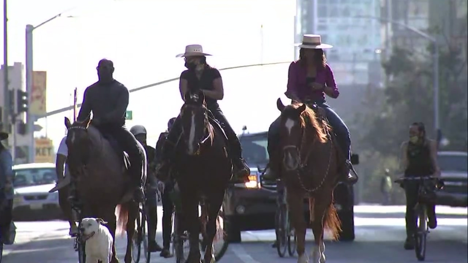 Election 2020: Horseback riders, bicyclists 'ride out the vote' in ...