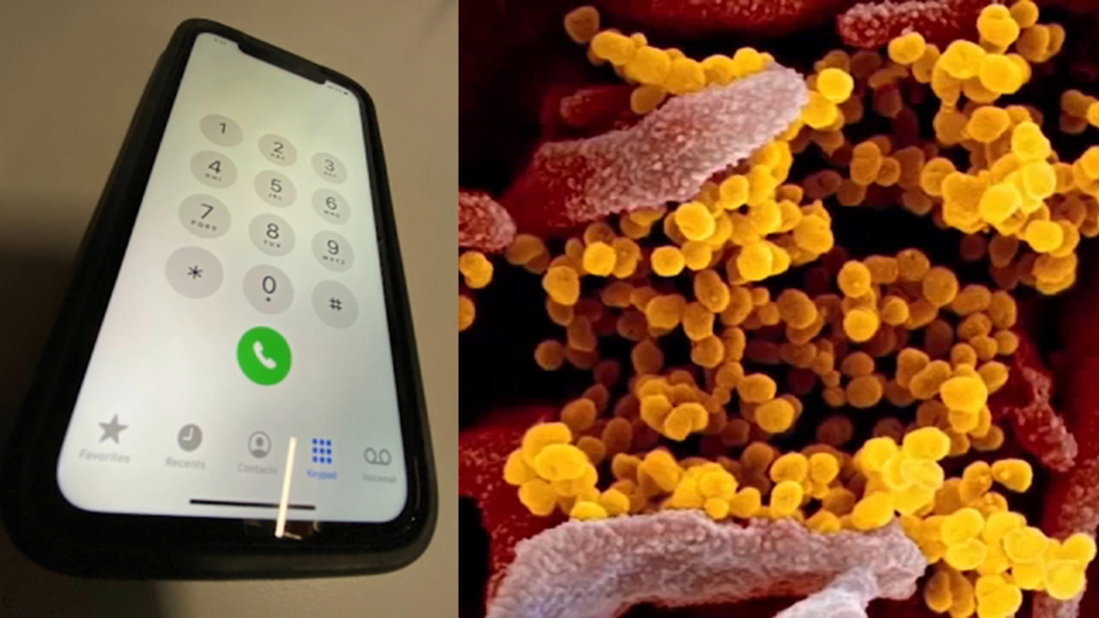 Cellphone data shows the places in Houston people are visiting during ...