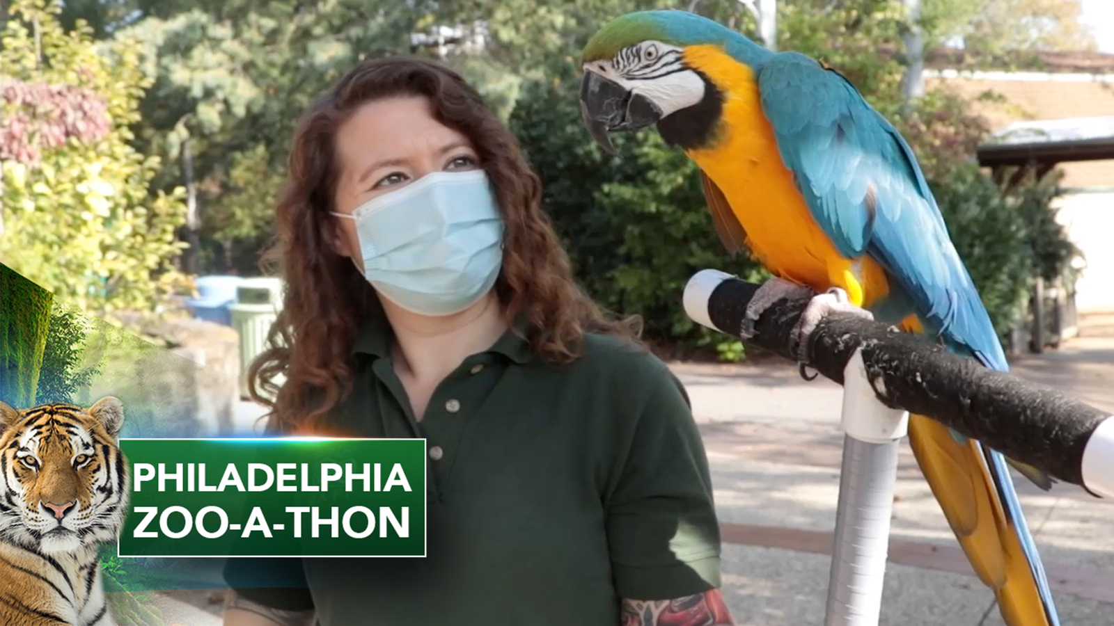 Educating millions: How the Philadelphia Zoo teaches through animals ...