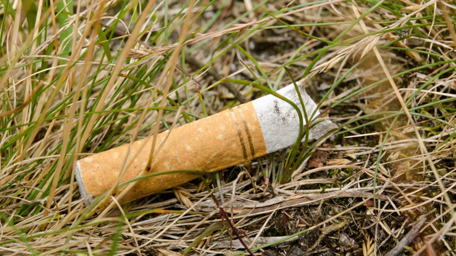 NYC smoking rate goes back down after startling rise - ABC7 New York