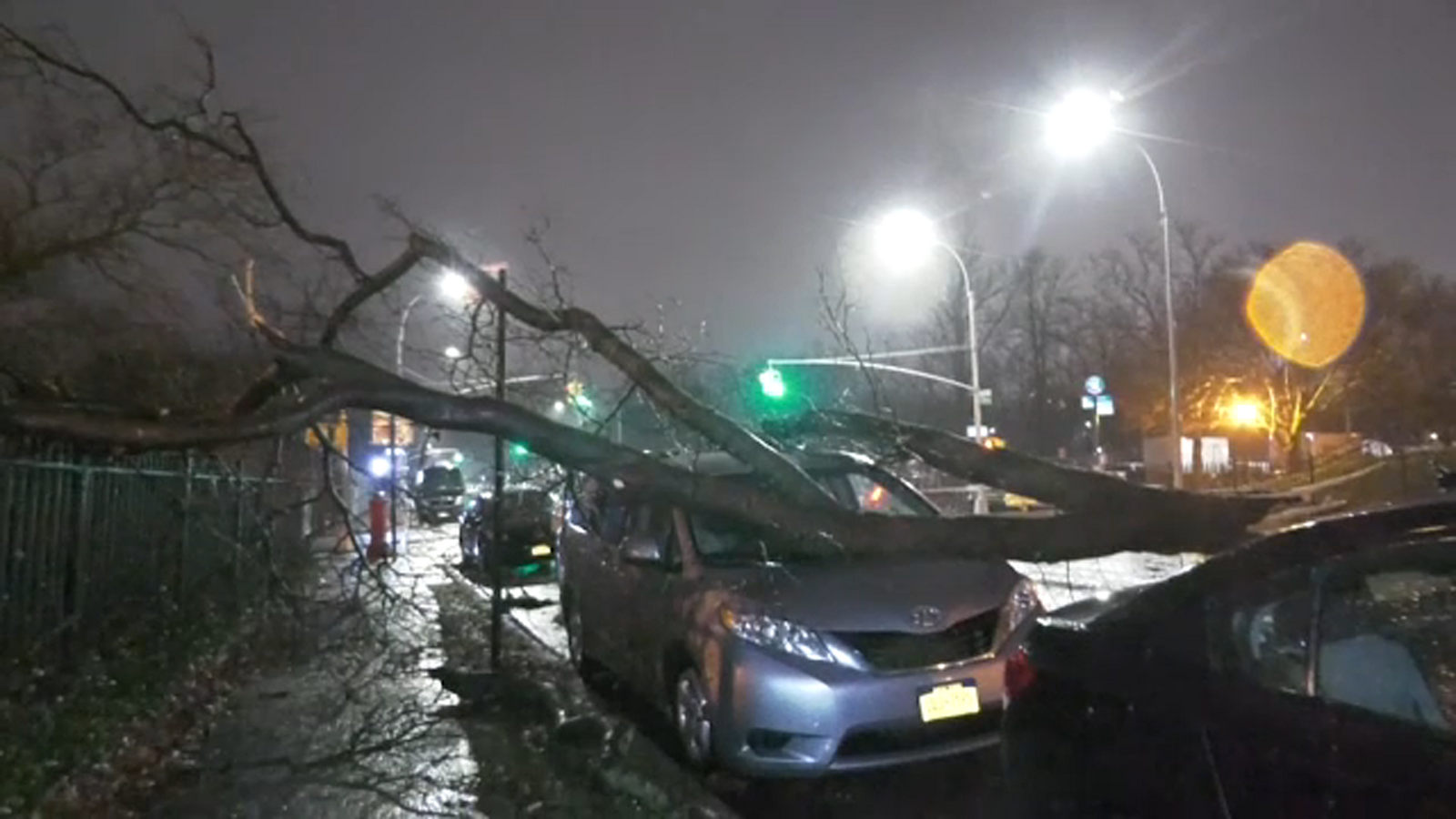 Damaging winds take down trees, power lines on Christmas in NYC and New ...