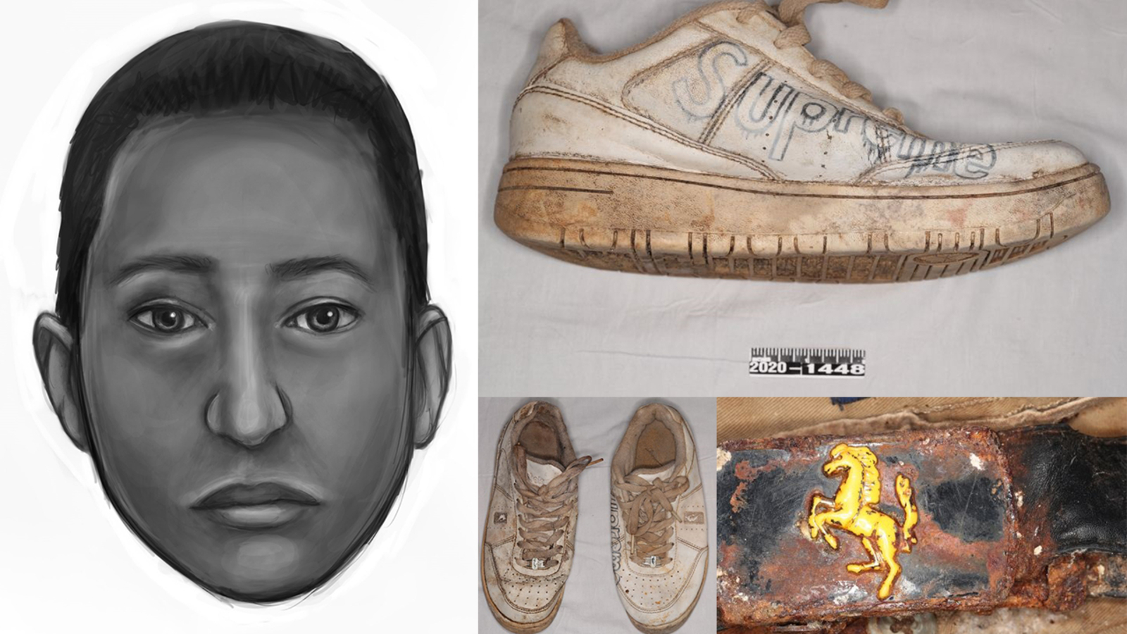 New evidence revealed after remains of young man found in Centereach ...