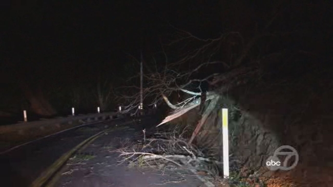 Strong winds blow down trees, knock out power in Bay Area - ABC7 San ...
